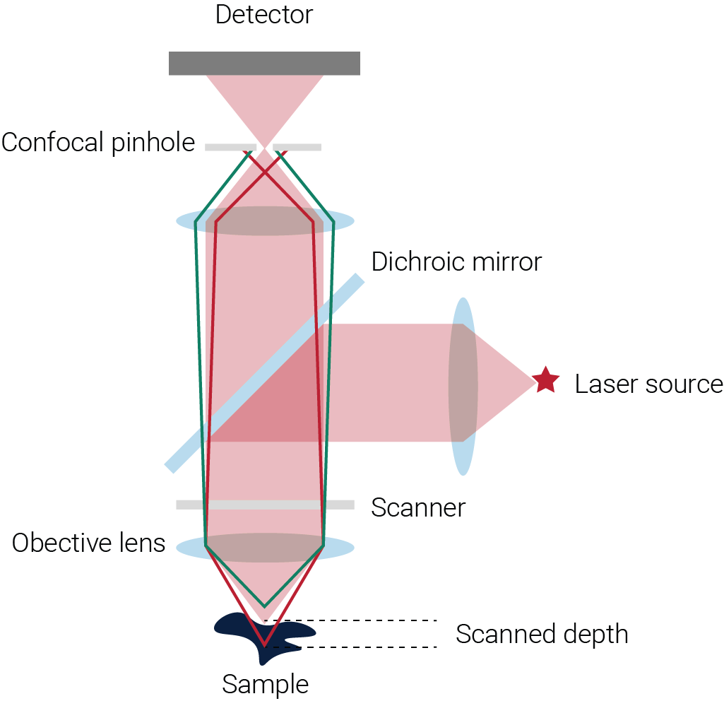 Which Micro 3D Imaging Technique is Right for Me?